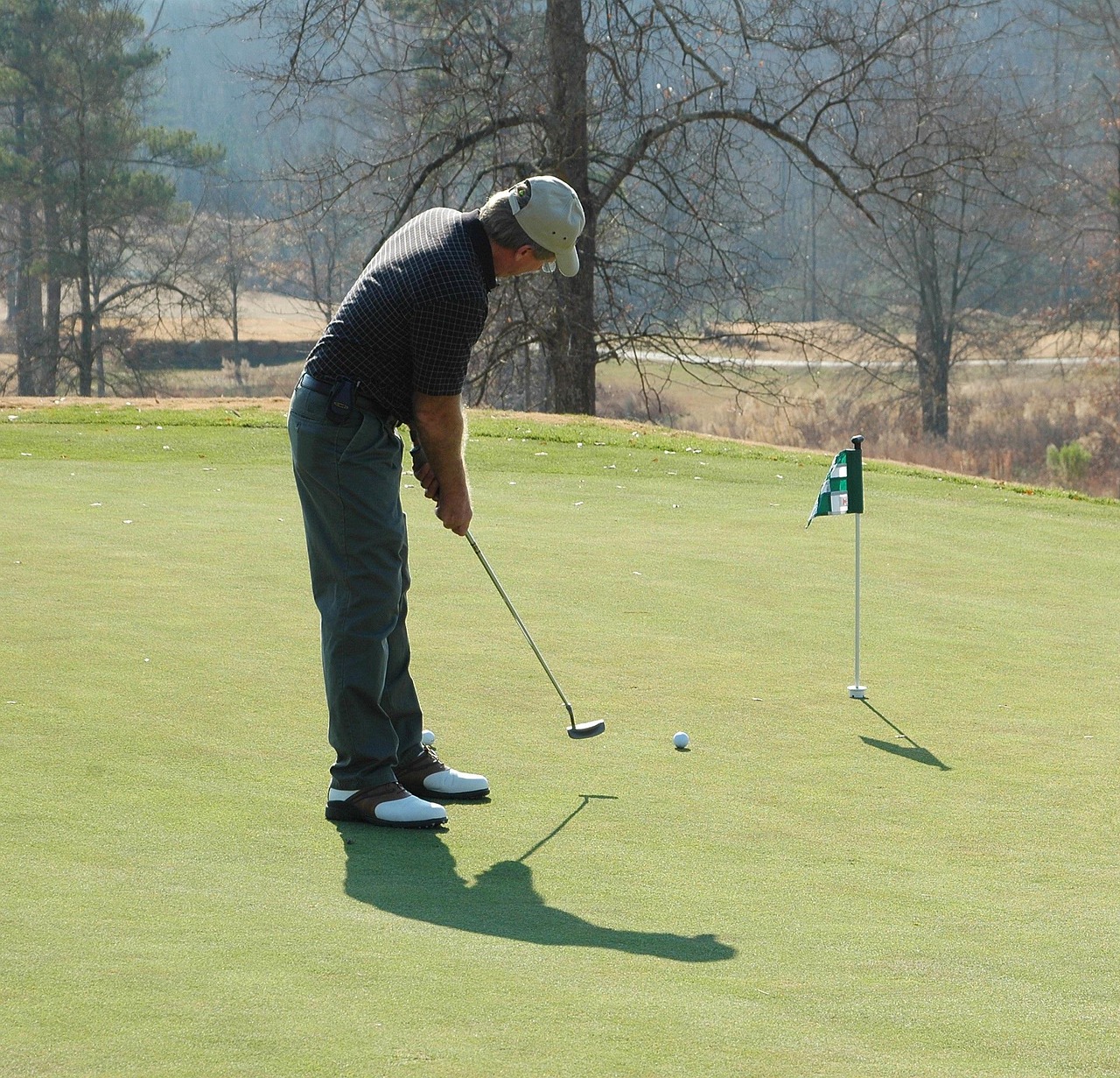 Hráč Golfu Uvedení Zelená - Fotografie zdarma na Pixabay - Pixabay