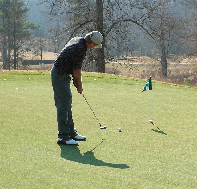 Golfer Putting Green - Free photo on Pixabay - Pixabay