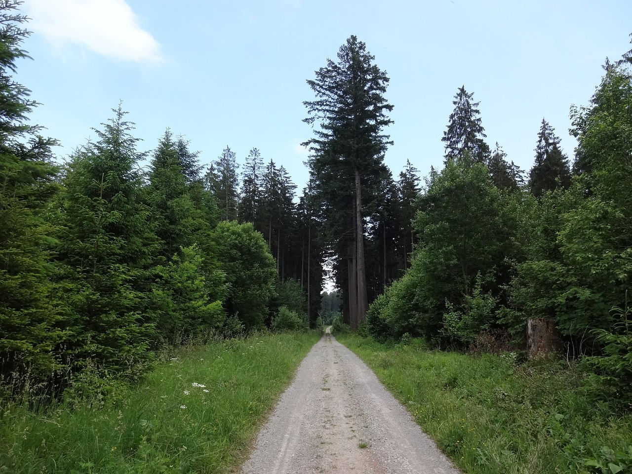 Lintas Alam Rute Jalur - Foto gratis di Pixabay - Pixabay