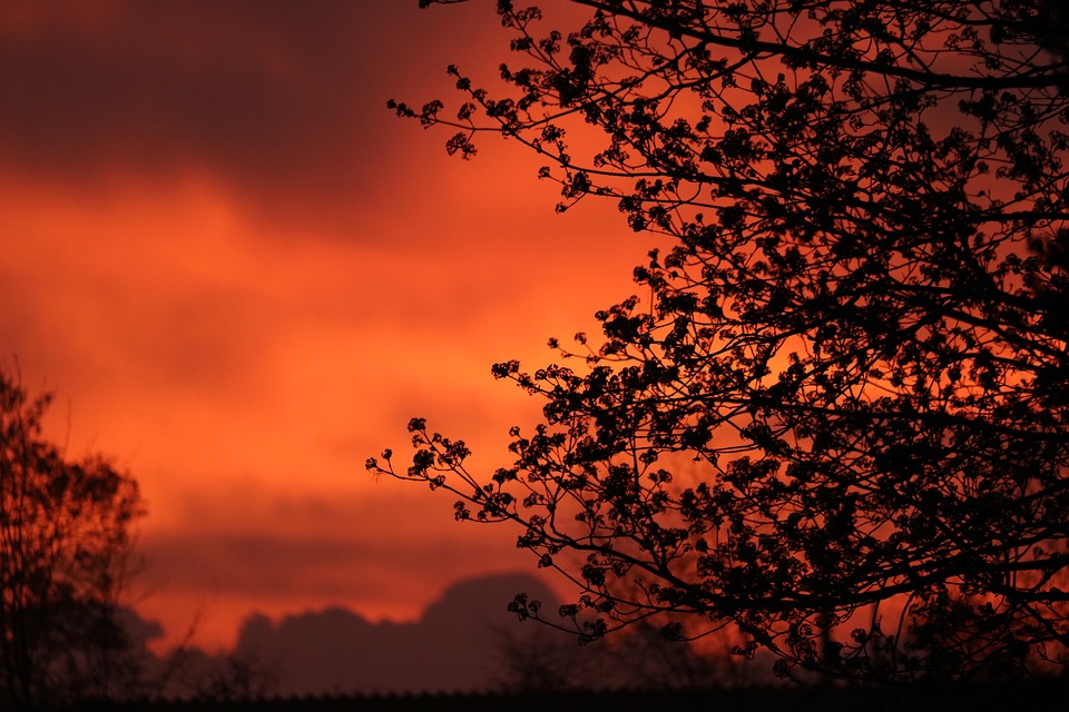 Morning Mood Red Dawn - Free photo on Pixabay - Pixabay