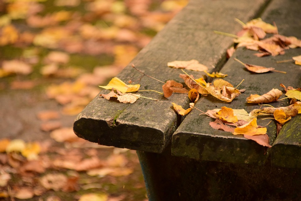 Bank Wooden Bench - Free photo on Pixabay