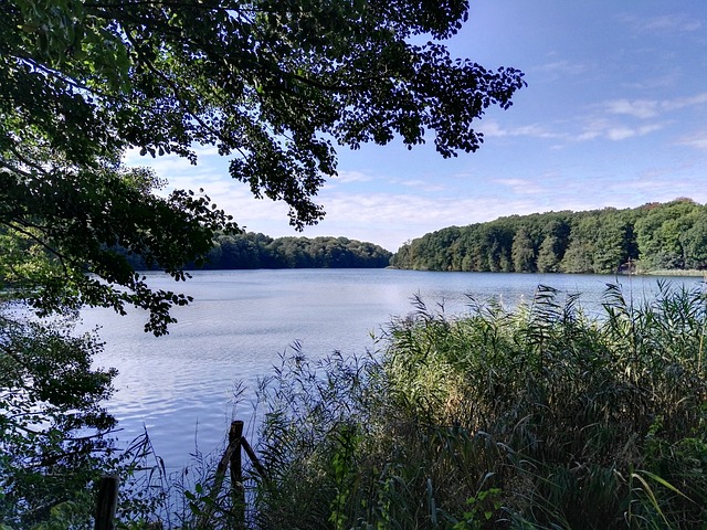 Lac L'Eau Relever - Photo gratuite sur Pixabay - Pixabay