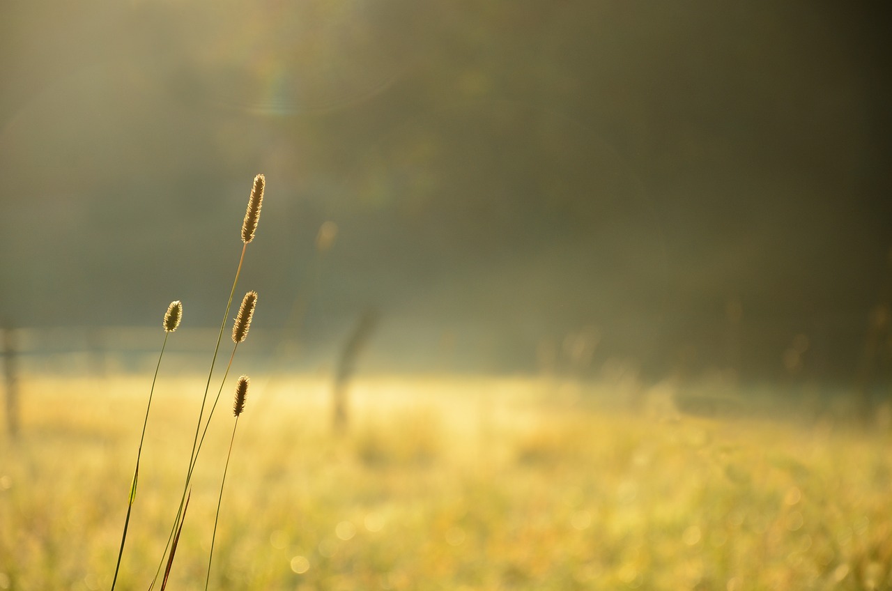 400,000+ Free Positive Background & Positive Images - Pixabay
