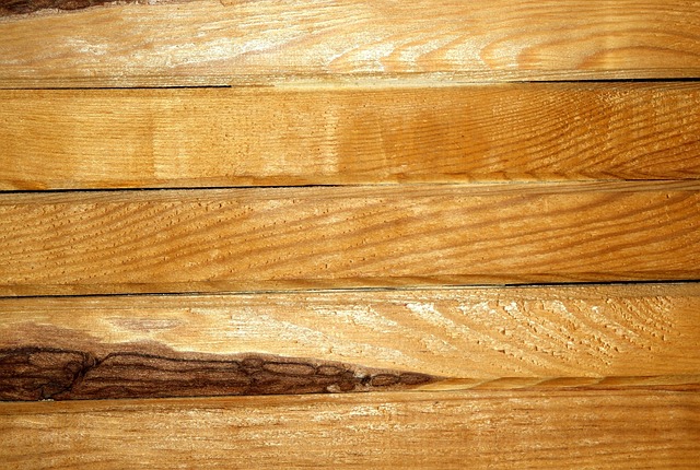 Madera Árbol Textura - Foto gratis en Pixabay - Pixabay