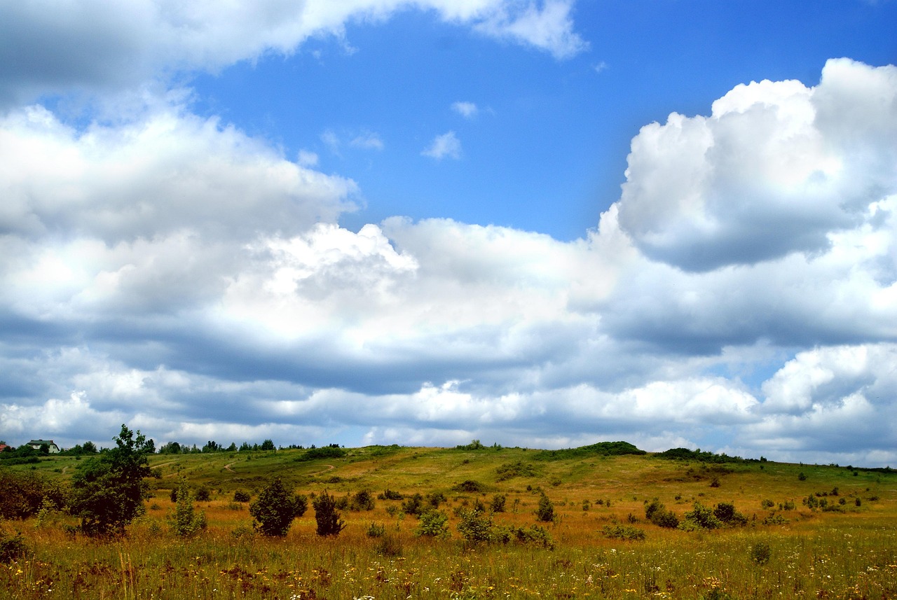 Meadow Grass Nature - Free photo on Pixabay - Pixabay