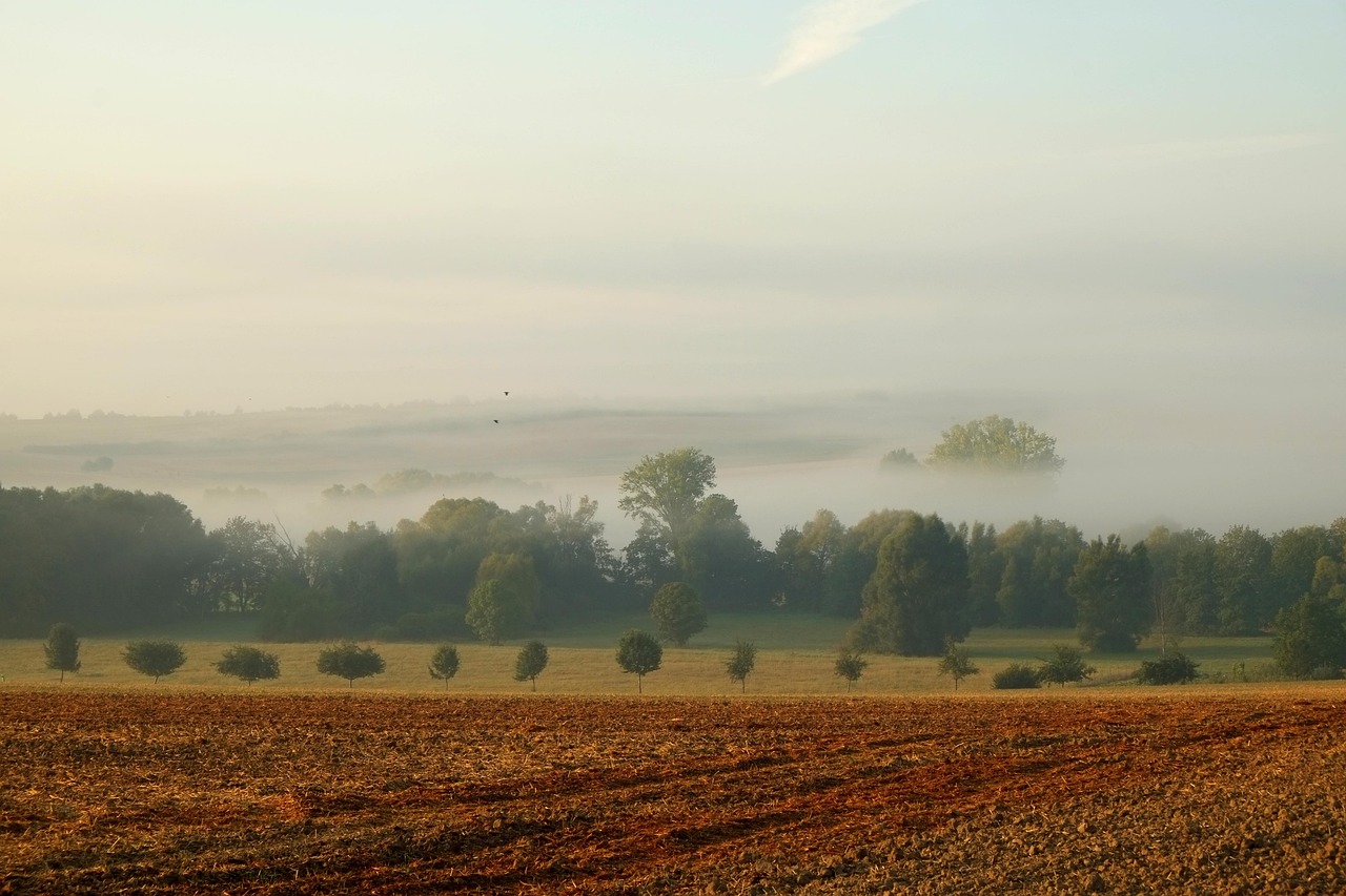 Landscape Fog Nature - Free photo on Pixabay