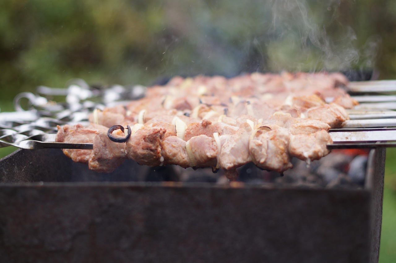 Shish Kebab Viande Pique-Nique - Photo gratuite sur Pixabay - Pixabay