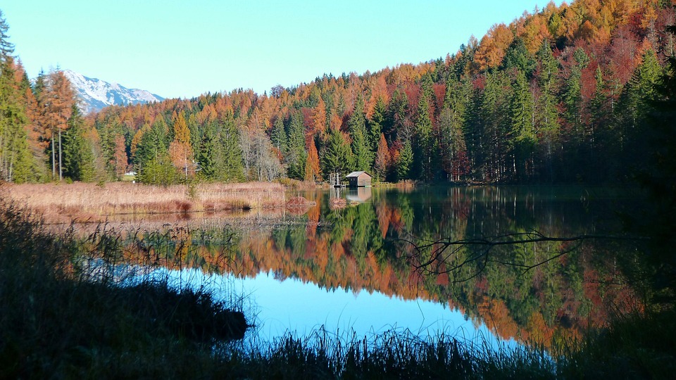 Fall Landscape Nature - Free photo on Pixabay - Pixabay