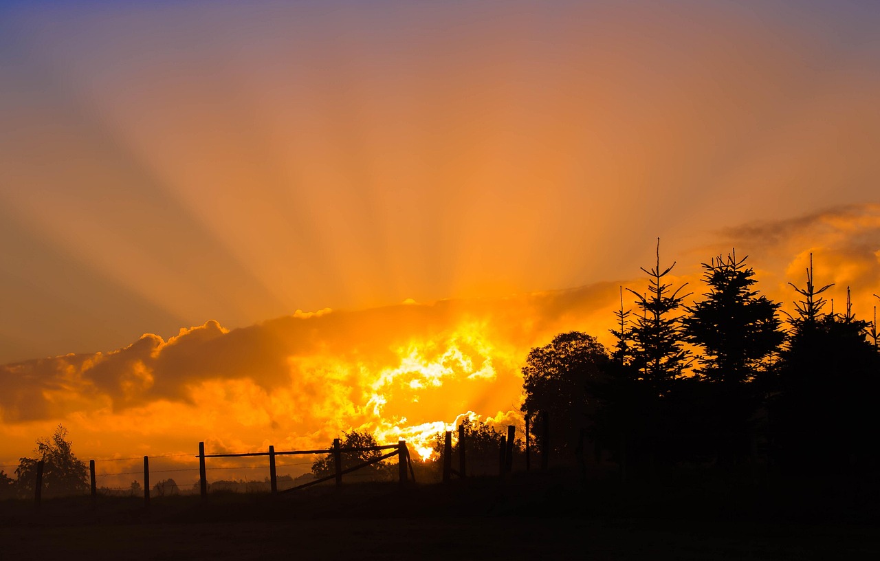 20,000+ Free Good Morning Sun & Good Morning Images - Pixabay