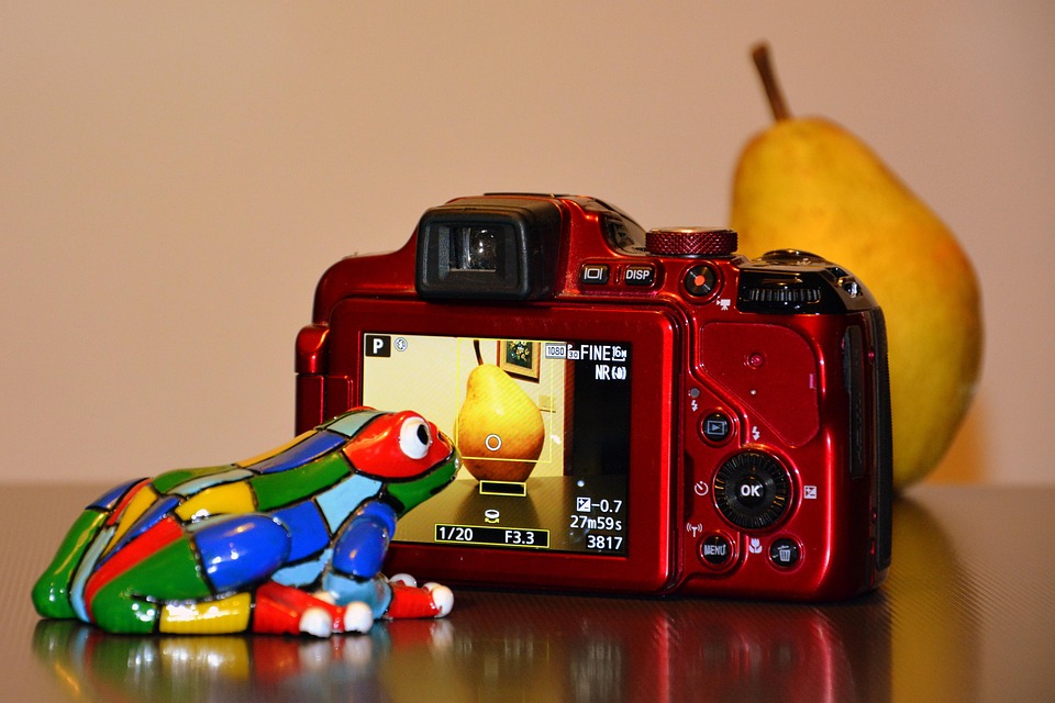 Photographer Rana Camera - Free photo on Pixabay