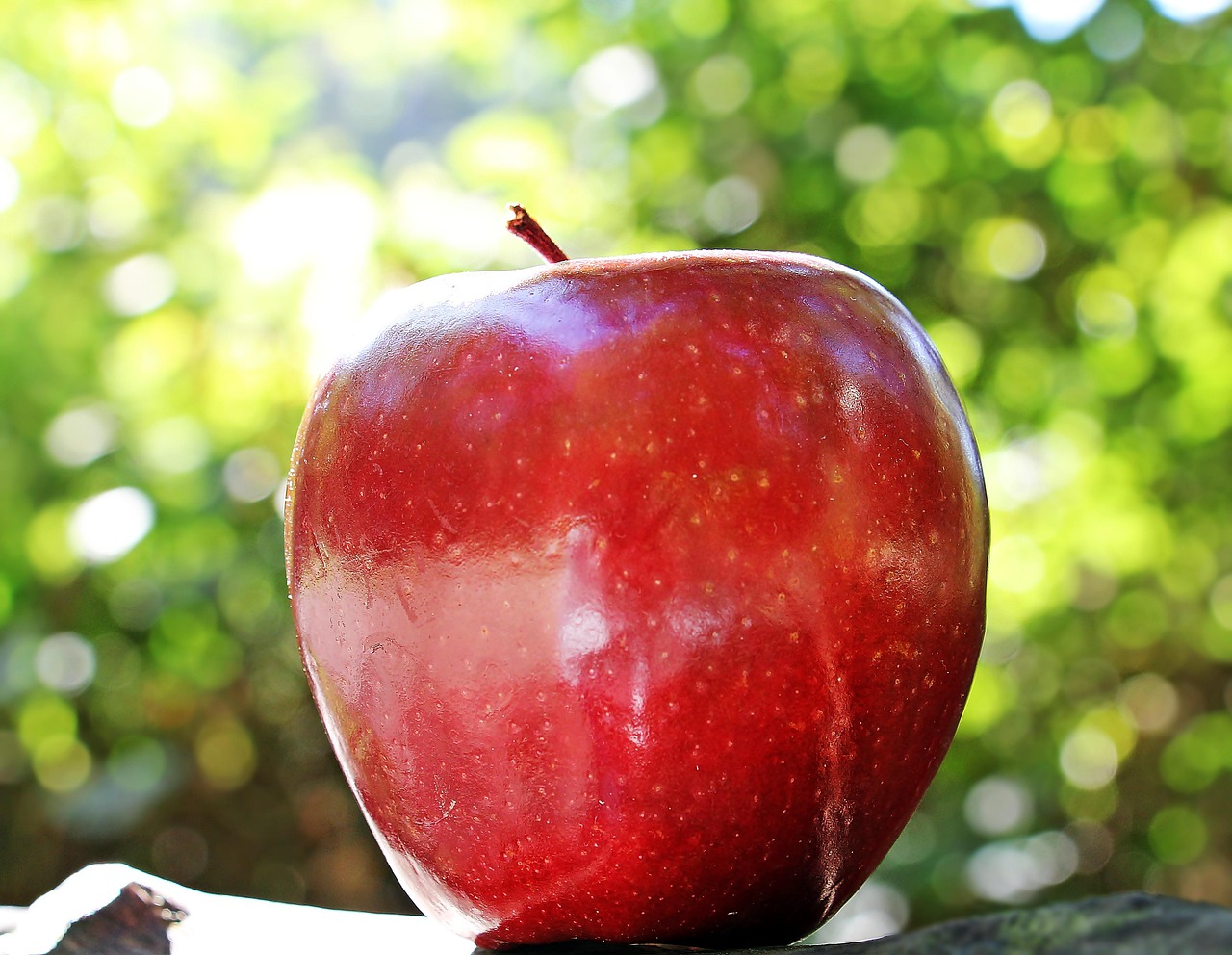 60 000 Free Apple Fruits Apple Images Pixabay