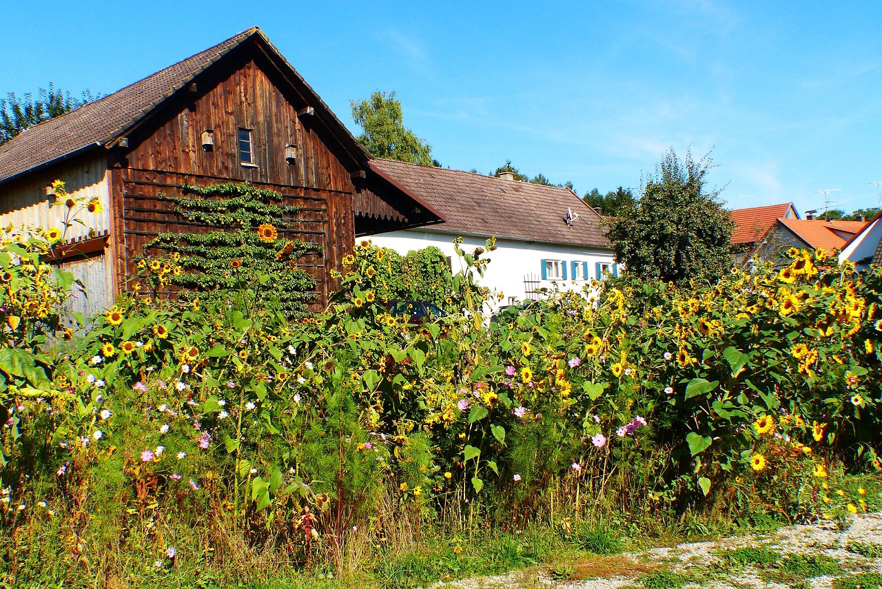 Flower Meadow Farm Yard Bee - Free photo on Pixabay - Pixabay