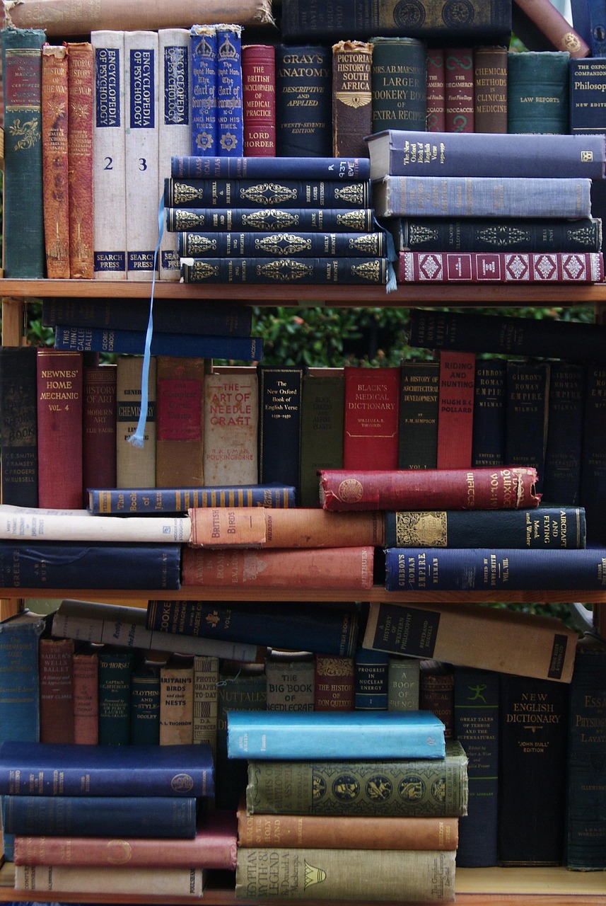 Libros Books Estantería - Foto gratis en Pixabay - Pixabay