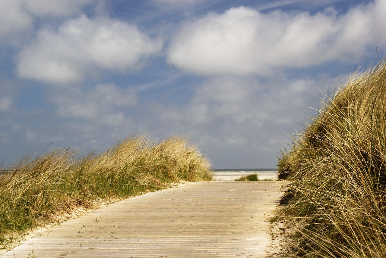 La Mer Du Nord Plage Dunes De - Photo gratuite sur Pixabay - Pixabay