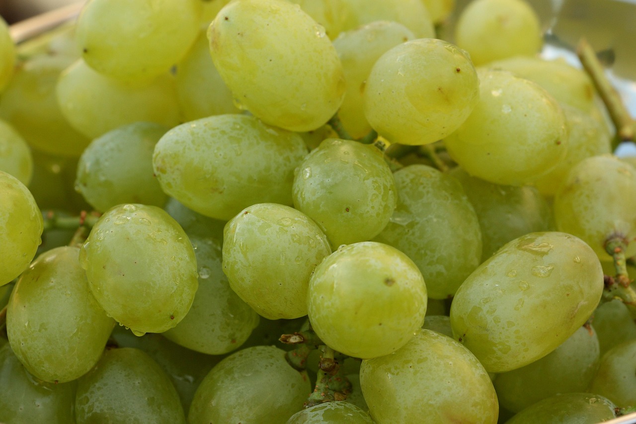 Uvas Fruta Tazón De - Foto gratis en Pixabay - Pixabay