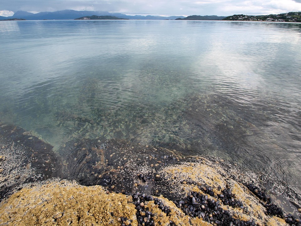 Sea Smooth Reflection - Free photo on Pixabay - Pixabay