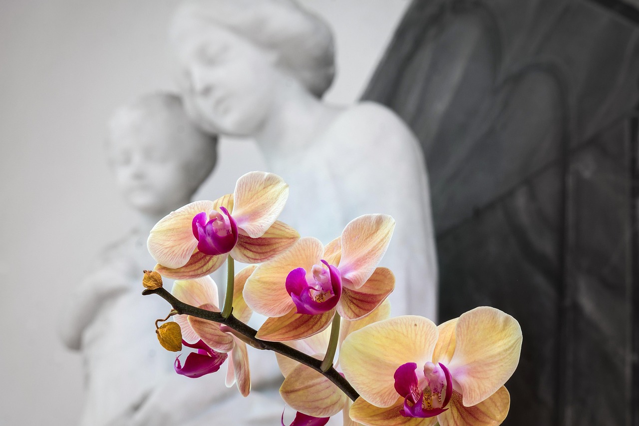 80+ Free Jesus Flower & Jesus Images - Pixabay
