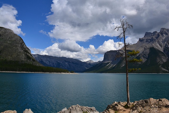 7,000+ Free Washington State & Nature Images - Pixabay