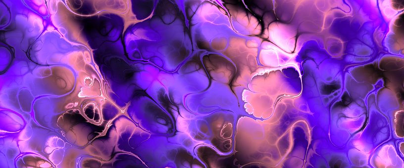 20+ Free Lilac Banner & Banner Images - Pixabay