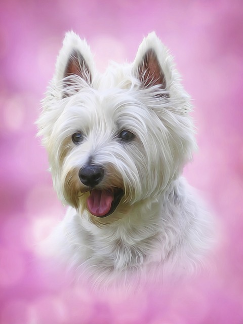 20,000+ Free Pink Puppies & Dog Images - Pixabay
