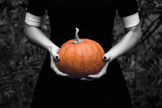 700+ Free Colorful Pumpkins & Pumpkin Images - Pixabay