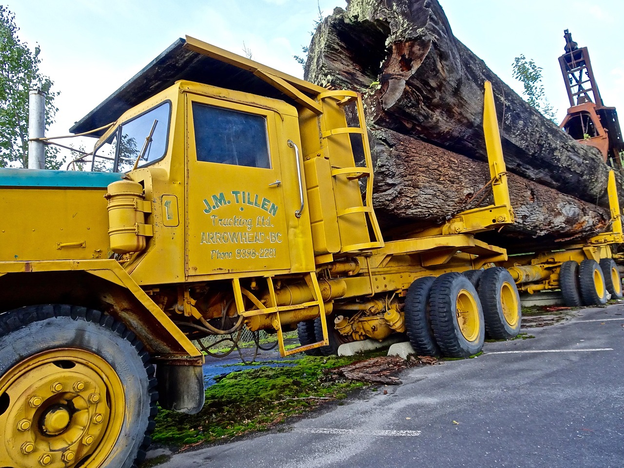 4,000+ Free Logging & Wood Images - Pixabay