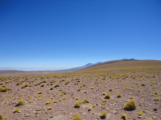 Steppe Desert Dry - Free photo on Pixabay