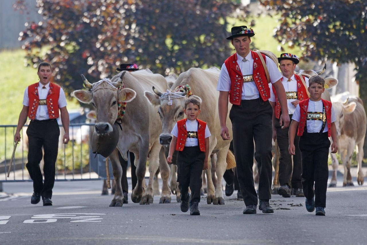 300+ Free Appenzell & Switzerland Images - Pixabay