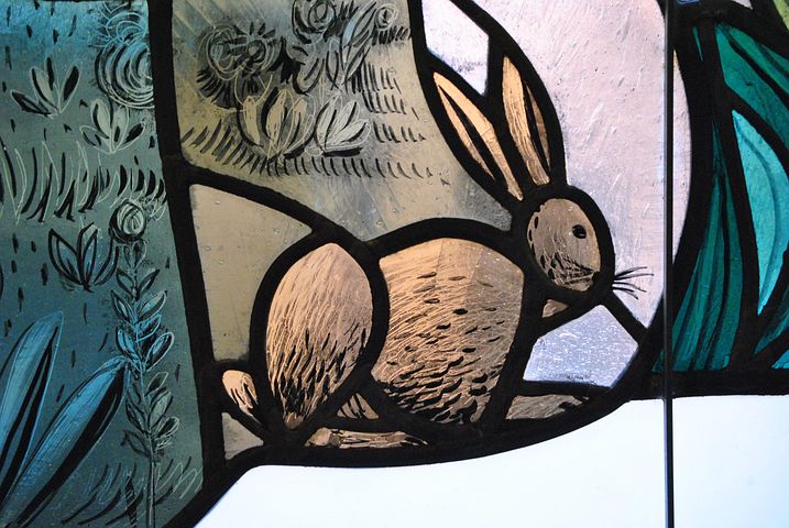10+ Free Rabbit Glass & Rabbit Images - Pixabay