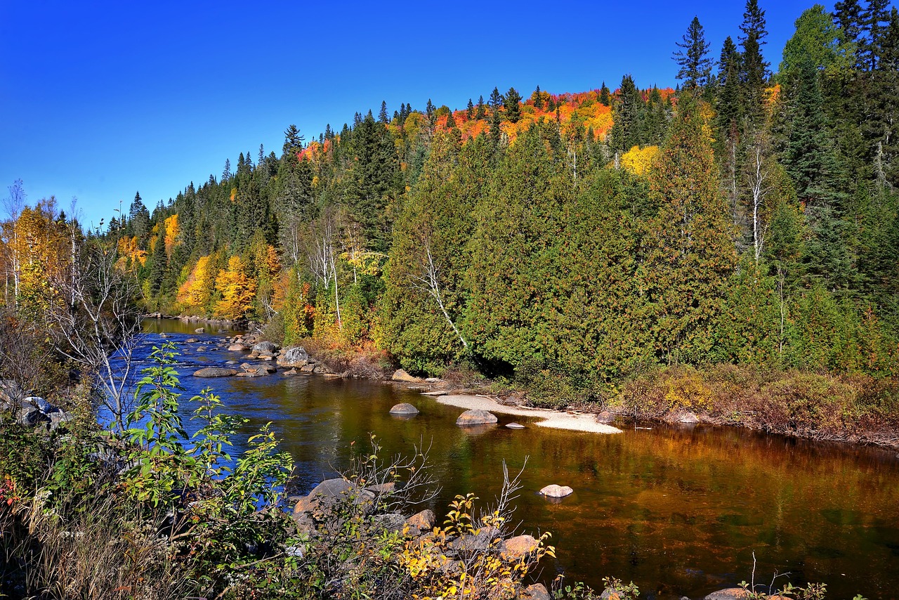 Autumn Landscape Fall River - Free photo on Pixabay