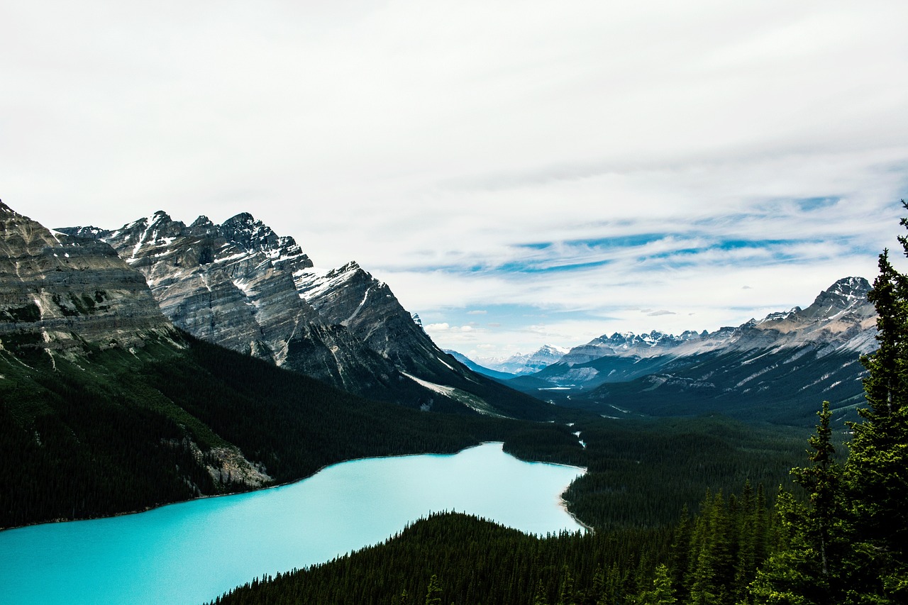 20,000+ Free Peyto Lake & Lake Images - Pixabay