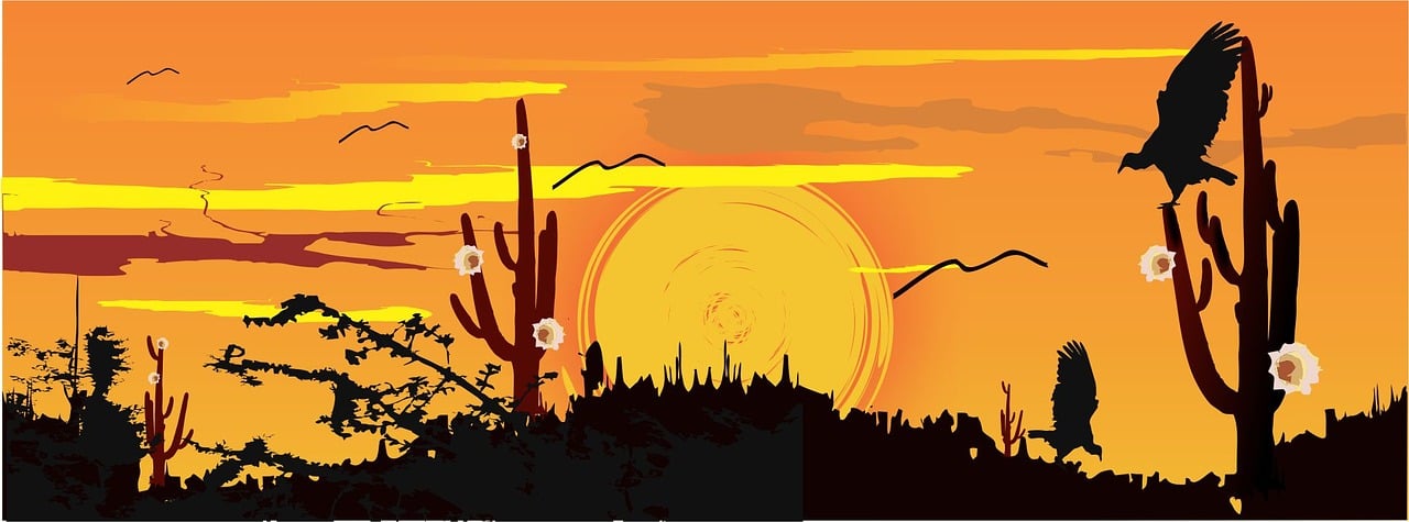 Mais de 500 imagens grátis de Sertao Nordestino e Natureza - Pixabay
