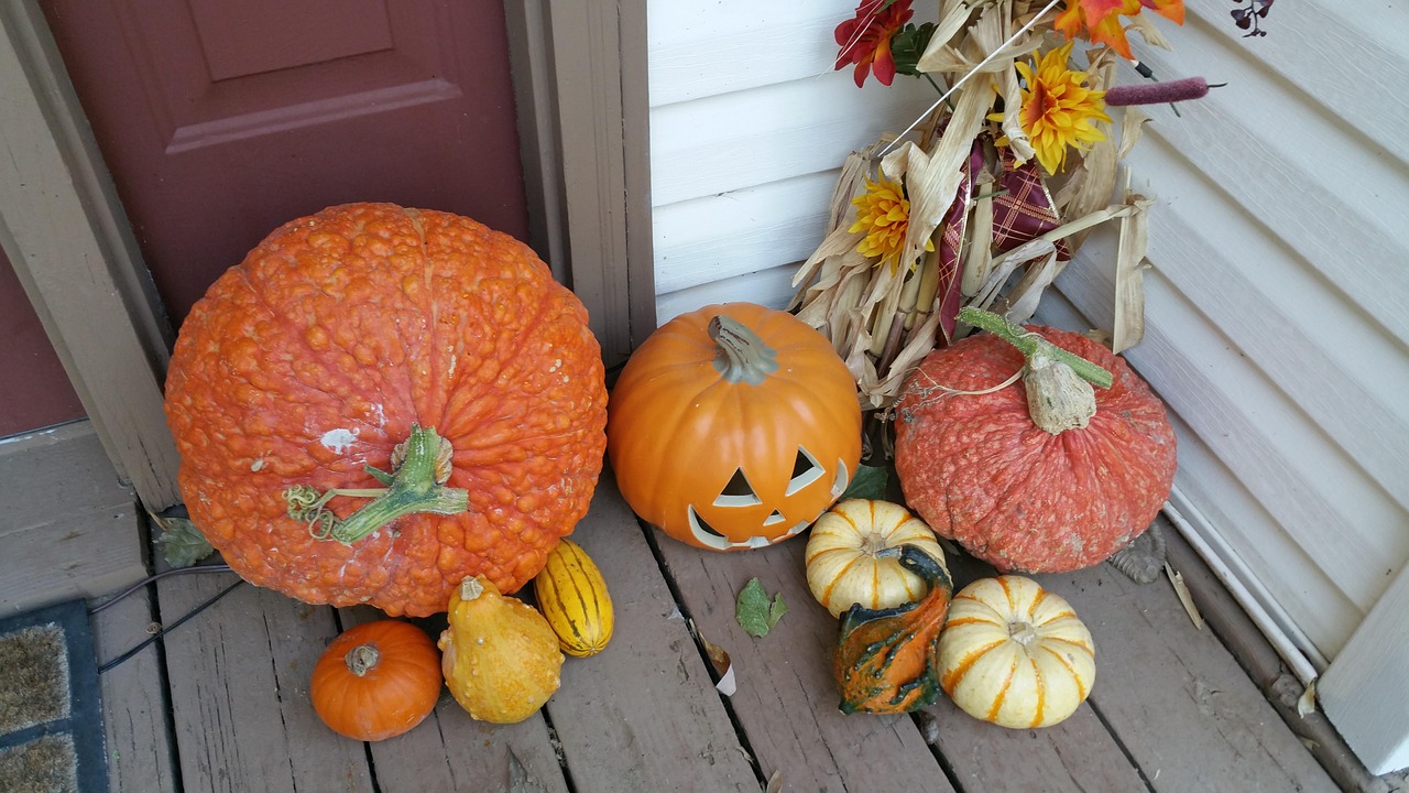 Pumpkins Fall Autumn - Free photo on Pixabay - Pixabay