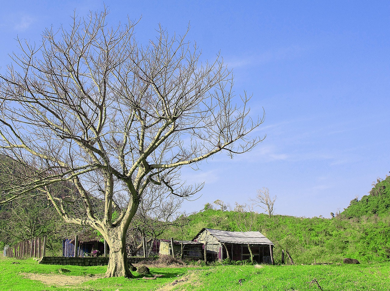 Field Cottage Landscape - Free photo on Pixabay