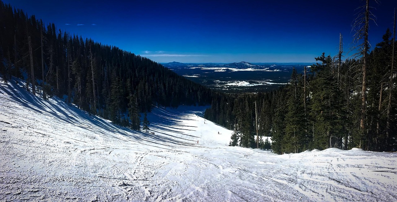 Arizona Volcano Ski Run Skiing - Free photo on Pixabay - Pixabay