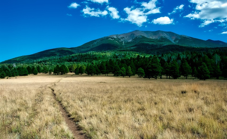 Arizona Montagnes Prairie - Photo gratuite sur Pixabay - Pixabay