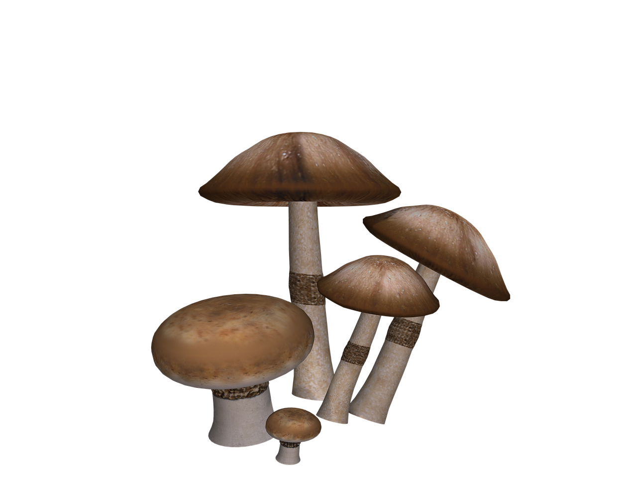 Explore 2,121+ Free Mushrooms Illustrations: Download Now - Pixabay