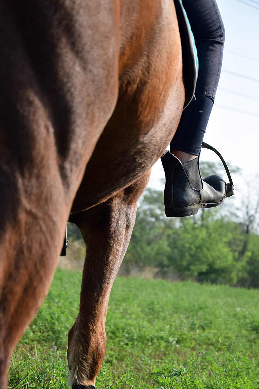 30,000+ Free Horse-Shoe & Shoes Images - Pixabay