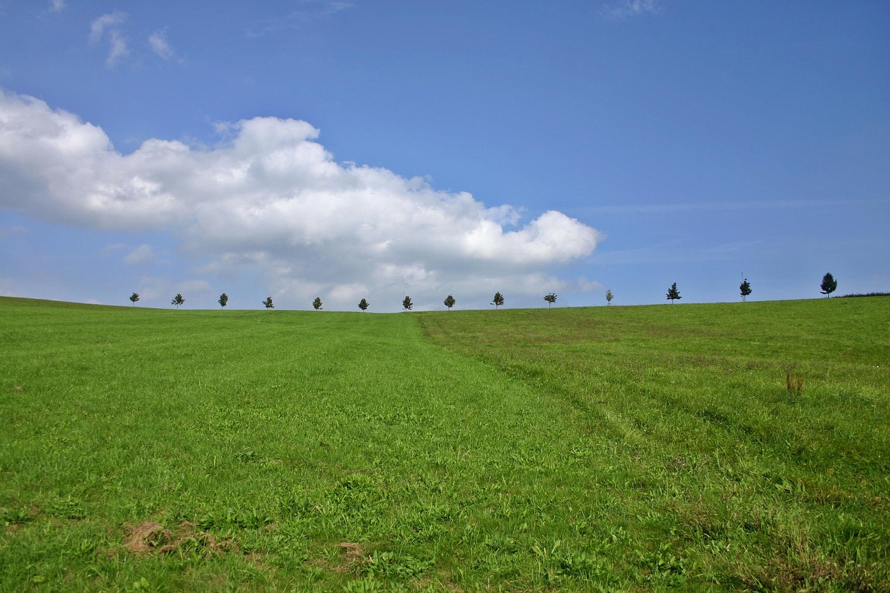 Colline Des Arbres Paysage Rangée - Photo gratuite sur Pixabay - Pixabay