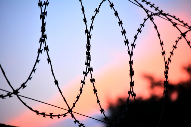 Steel Wire Security Fence Boundary - Free photo on Pixabay - Pixabay
