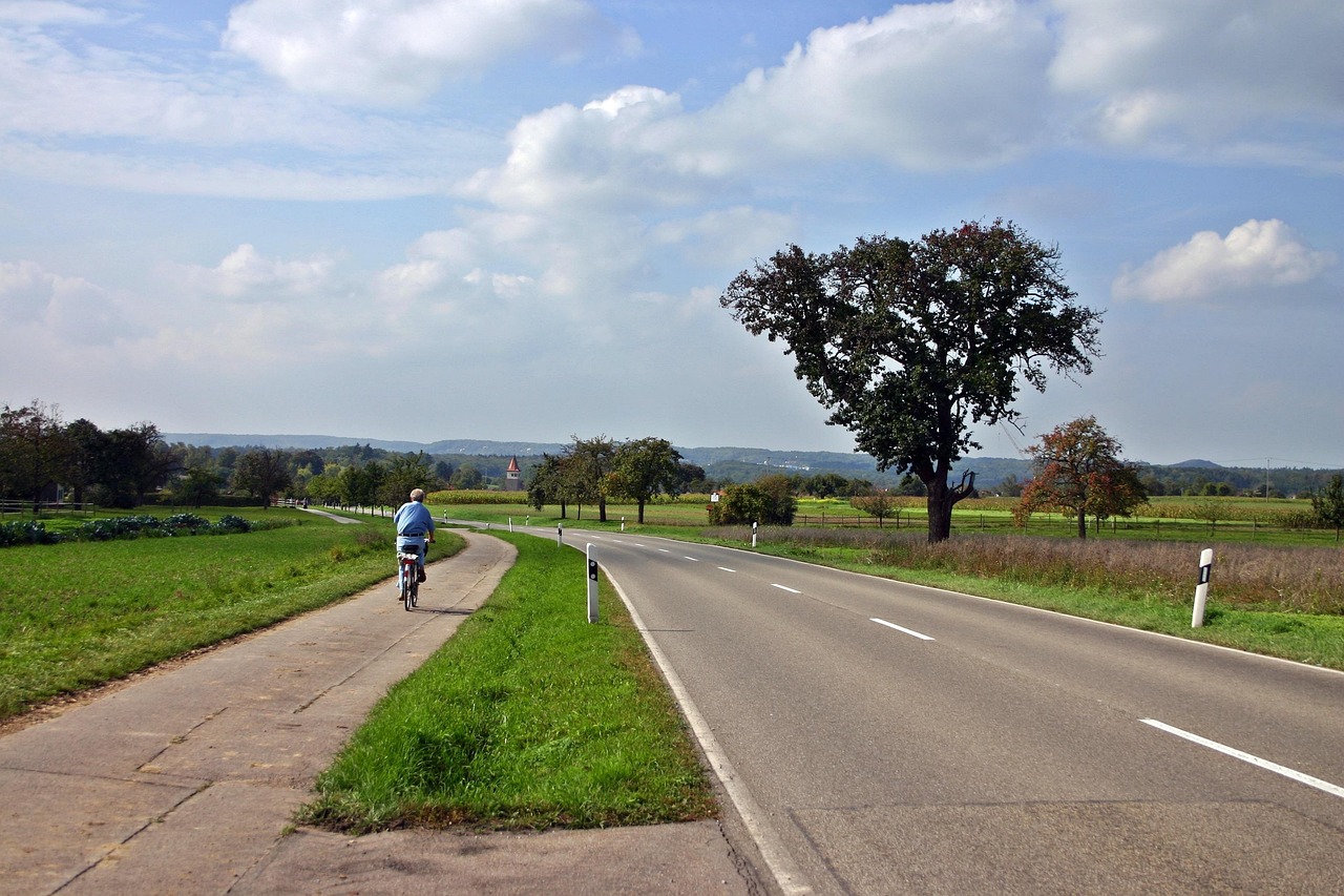 Bike Path Bicycle Cyclist - Free photo on Pixabay