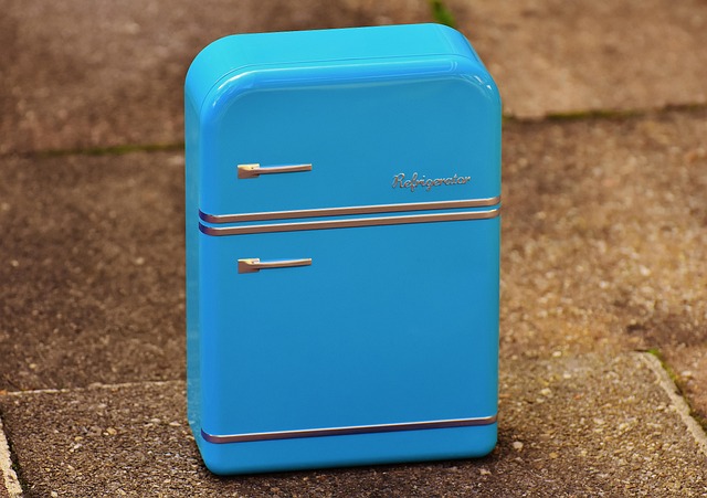 300+ Free Refrigerator & Fridge Images - Pixabay