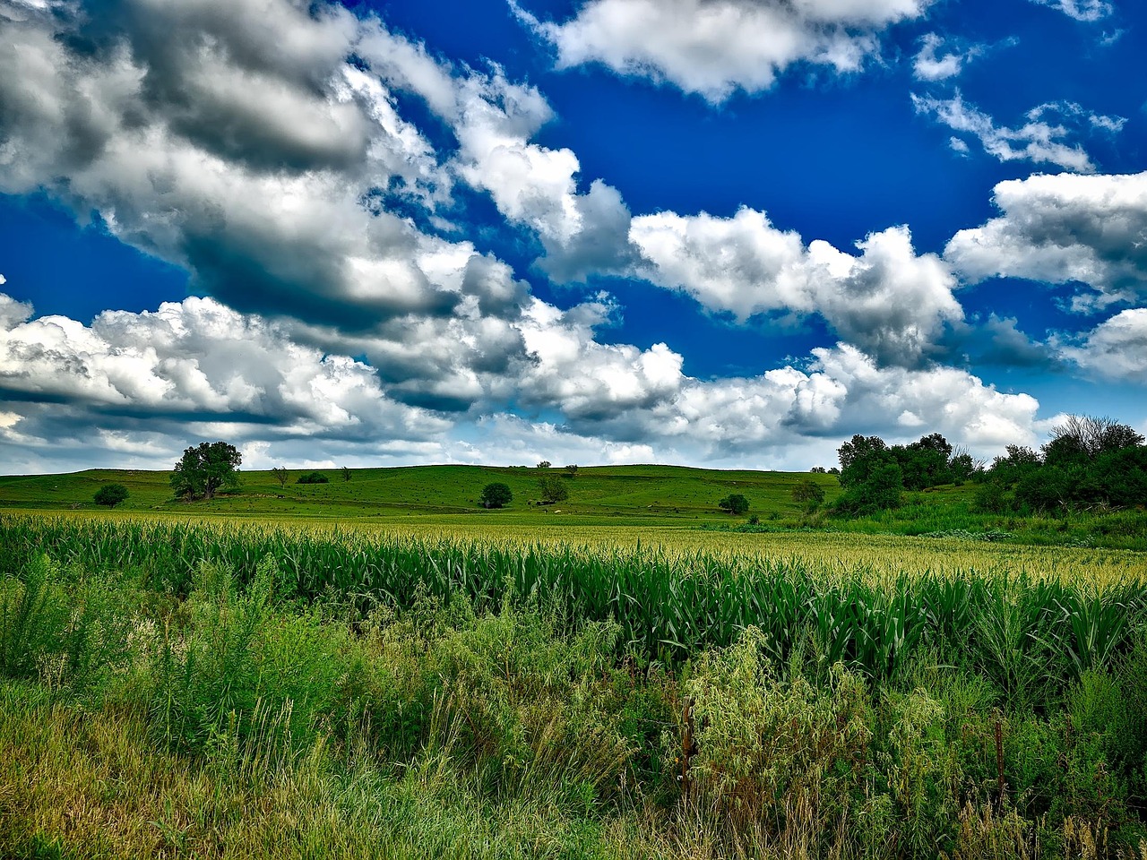 100+ Free Iowa & Nature Images - Pixabay
