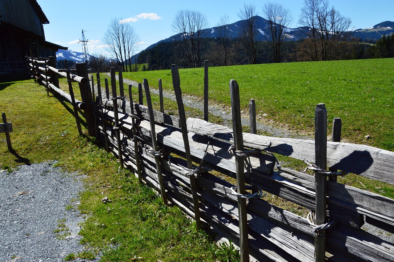 Trail Wooden Fence Without - Free photo on Pixabay - Pixabay