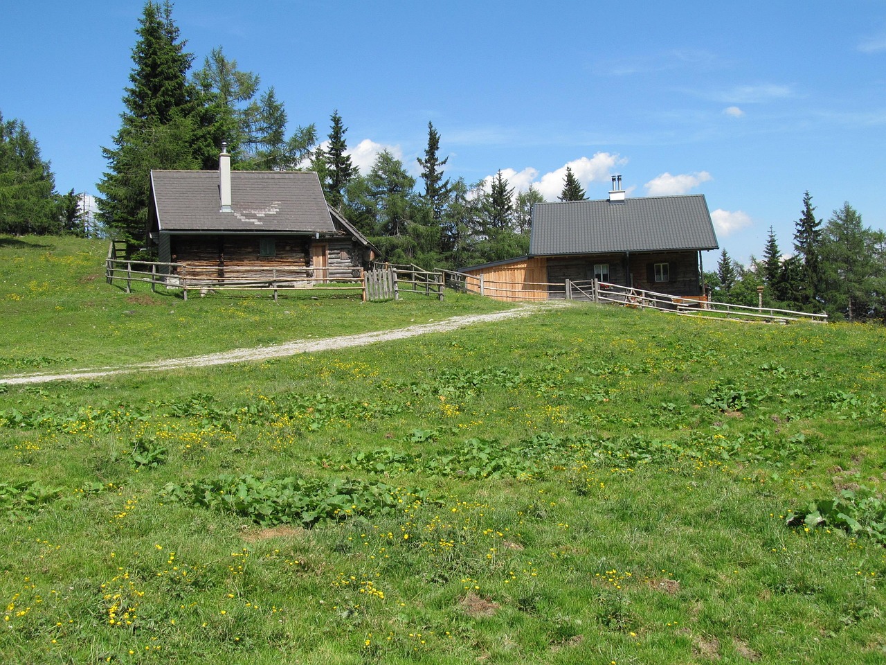 Sommer Alm Berg - Kostenloses Foto auf Pixabay - Pixabay
