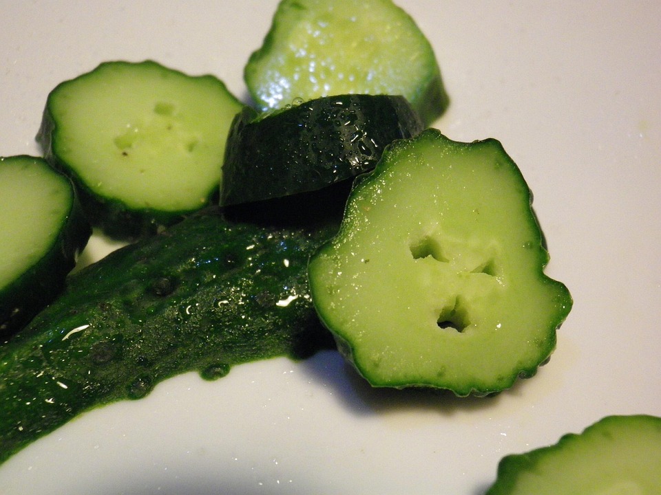 Cucumber Vegetable Panic - Free photo on Pixabay - Pixabay