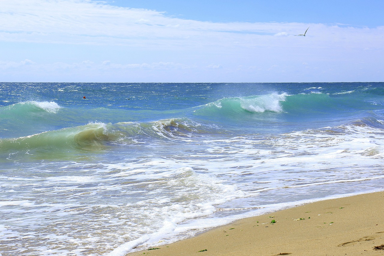 Sea The Waves Beach - Free photo on Pixabay - Pixabay