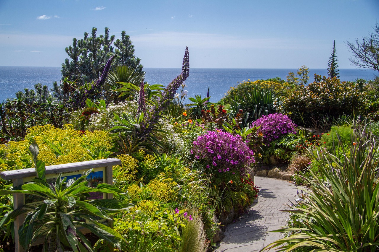 Minack Theatre Cornwall - Kostenloses Foto auf Pixabay - Pixabay