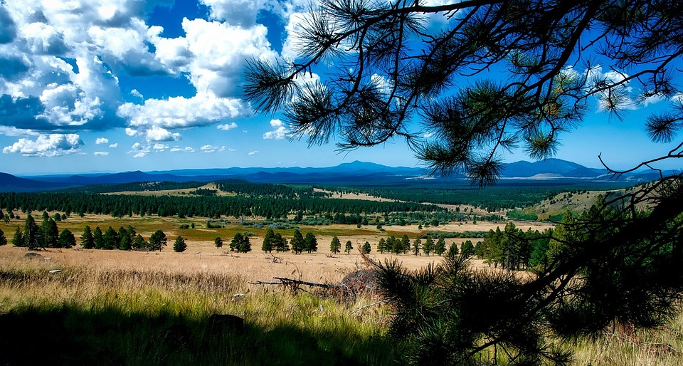 Arizona Paysage Prairie Sur Le - Photo gratuite sur Pixabay - Pixabay
