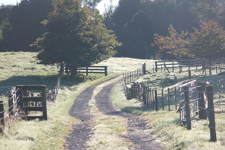 Farm Track Outdoors New - Free photo on Pixabay
